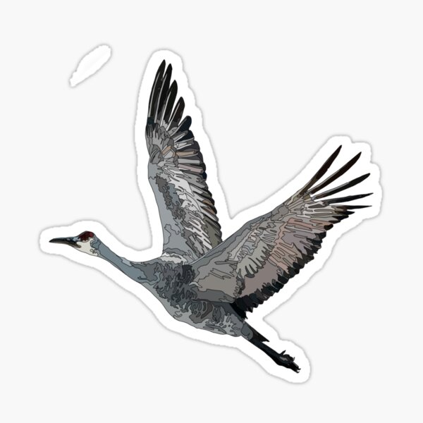 "Large Crane " Sticker for Sale by WeepingSparrow | Redbubble