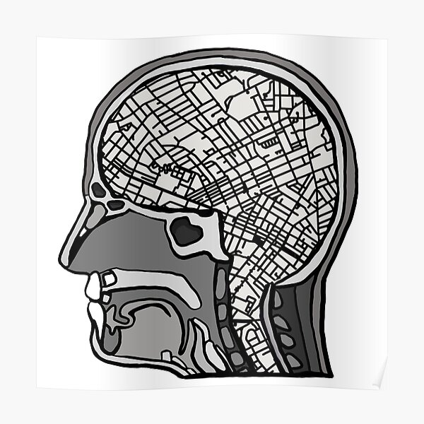 "Brain Map" Poster by Cortical-Art | Redbubble