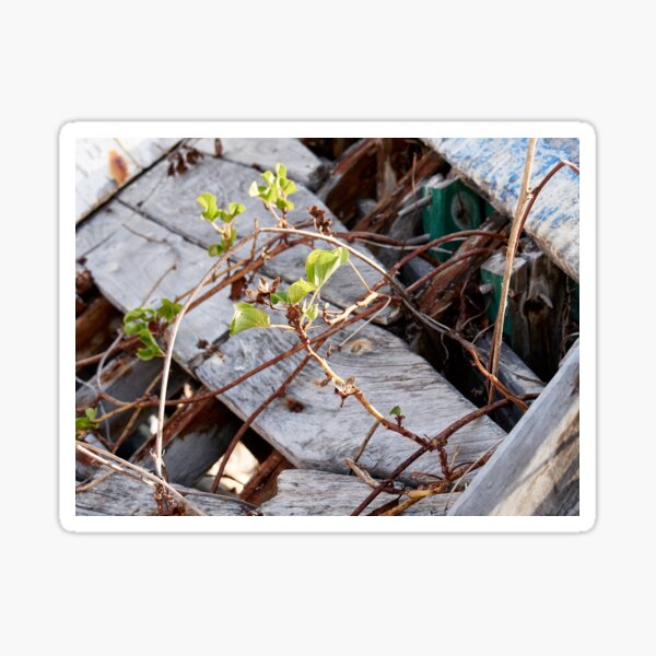 ""Broken"" Sticker by AndreasKoerner | Redbubble