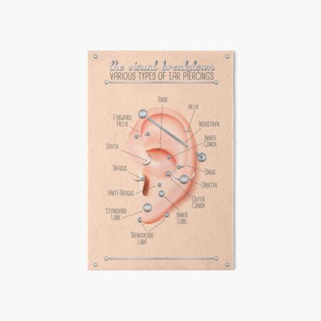 "Ear Piercing Chart" Art Board Print for Sale by Jarrod44 | Redbubble