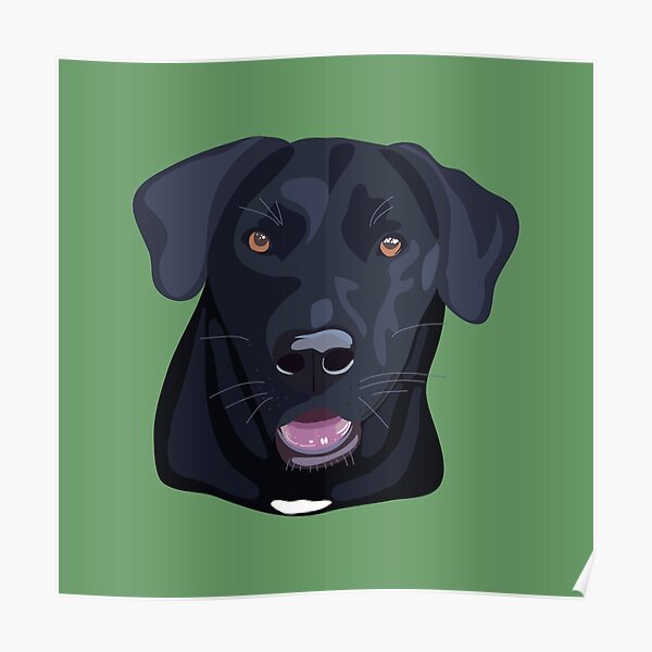 "Walter the Black Labrador Dog Portrait Vector Artwork by Design by ...