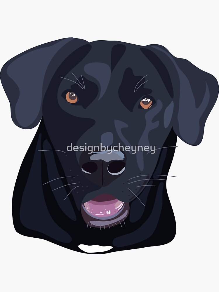 "Walter the Black Labrador Dog Portrait Vector Artwork by Design by ...