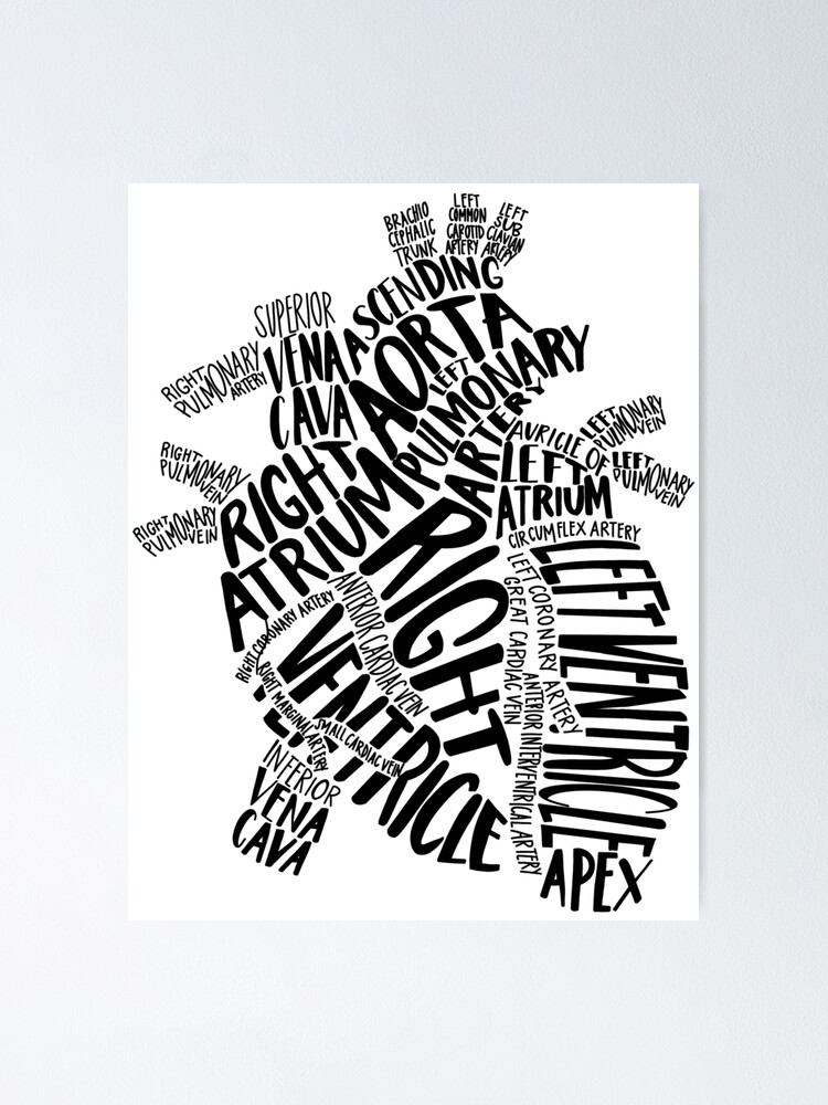 "Calligraphy Written Heart Anatomy" Poster for Sale by natalietrull ...