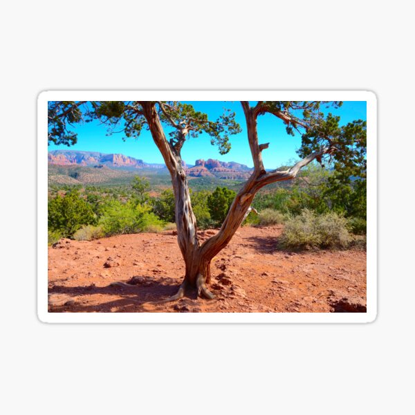 "Cathedral Rock in Sedona, Arizona USA" Sticker for Sale by ...
