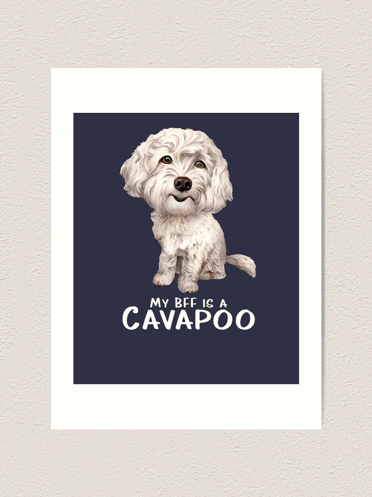 "My BFF is a Cavapoo" Art Print for Sale by ligesgood | Redbubble
