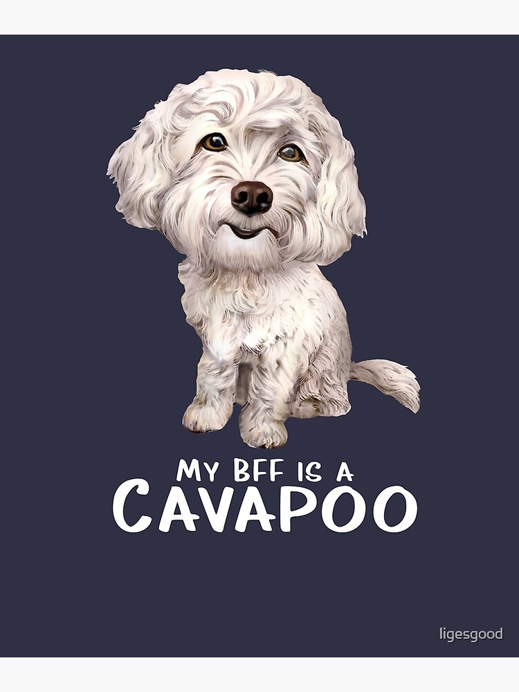 "My BFF is a Cavapoo" Art Print for Sale by ligesgood | Redbubble