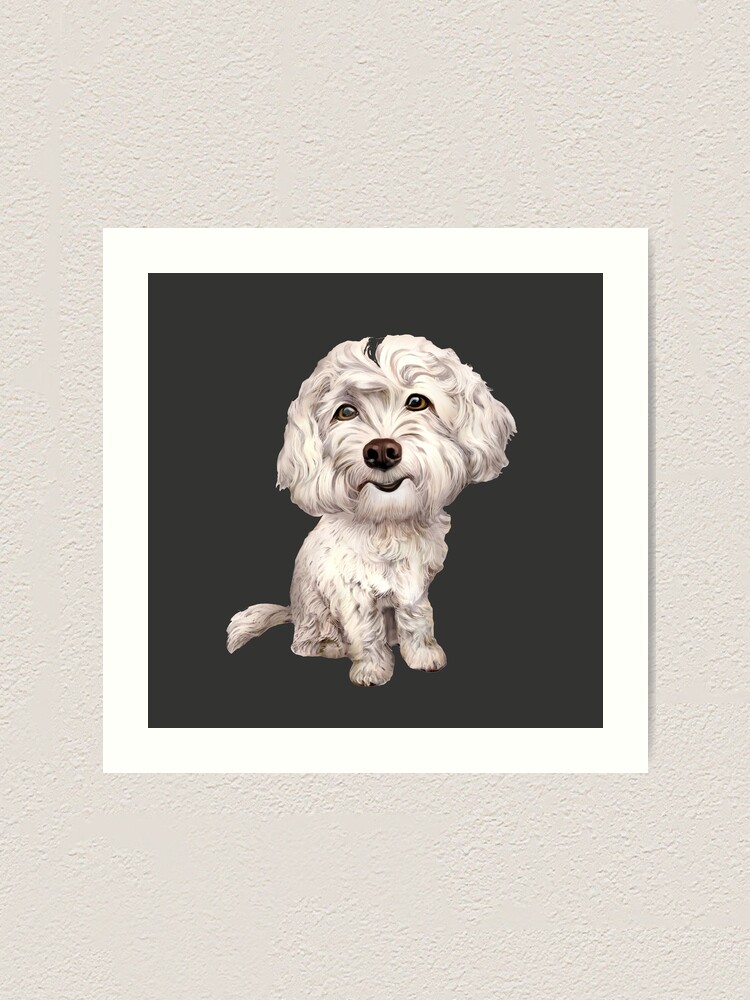 "White Cavapoo | White Cavoodle" Art Print for Sale by ligesgood ...