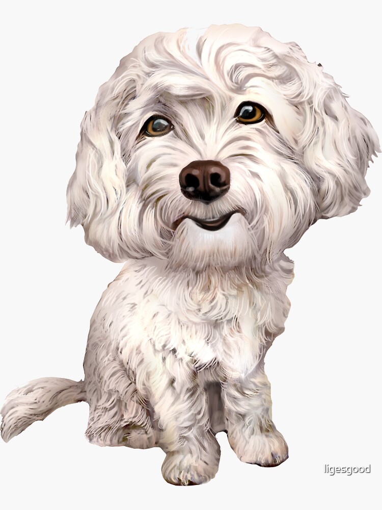 "White Cavapoo | White Cavoodle" Sticker for Sale by ligesgood | Redbubble