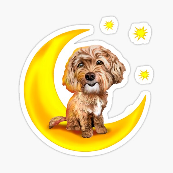 "Cavapoo Moon & Stars | Cavoodle" Sticker by ligesgood | Redbubble