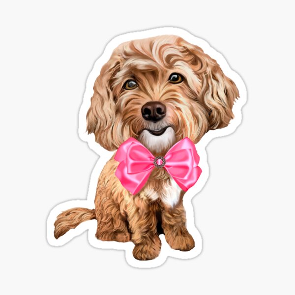 Cavapoo Merch & Gifts for Sale | Redbubble