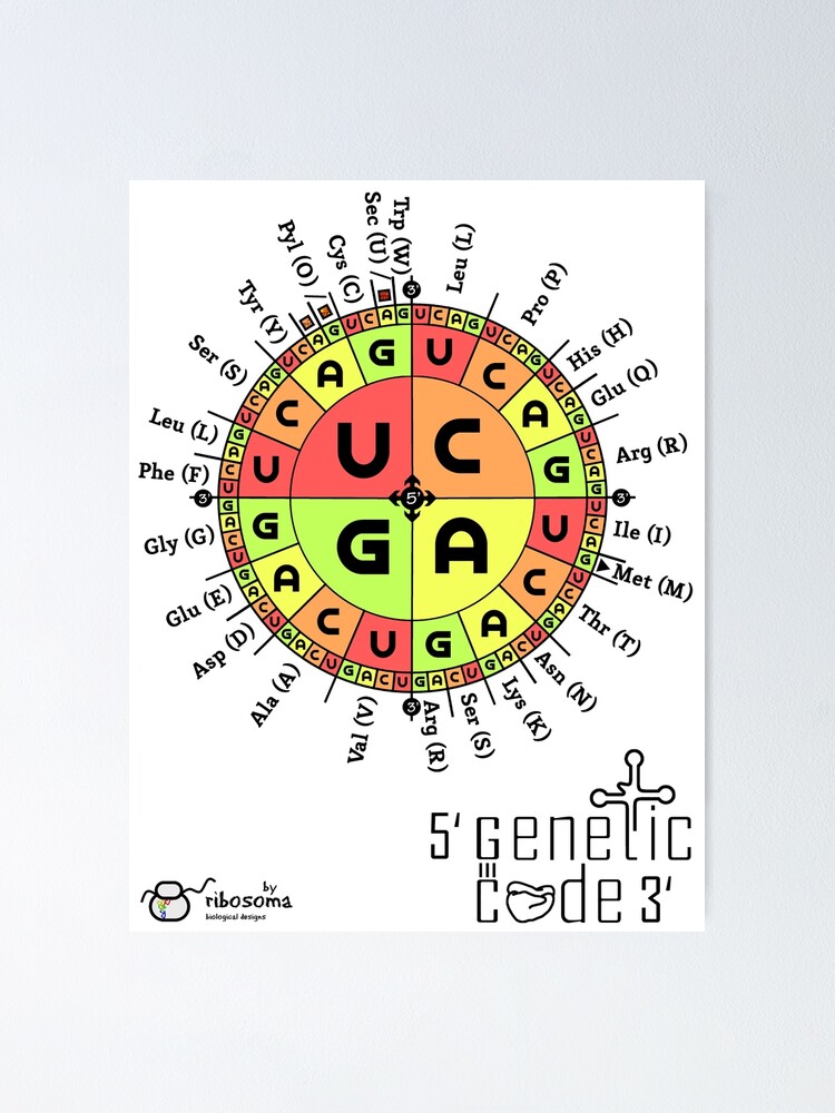 "Genetischer Code" Poster von byribosoma | Redbubble
