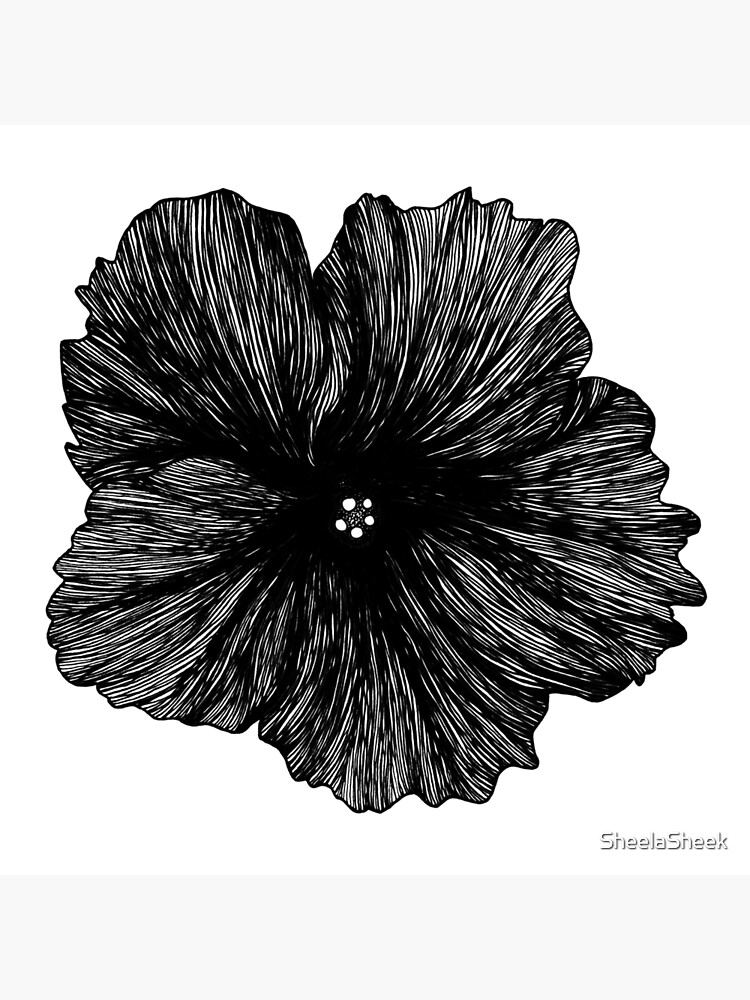 "Hibiscus Hand Drawn Delicate Line Black Pen & Ink drawing" Art Board ...