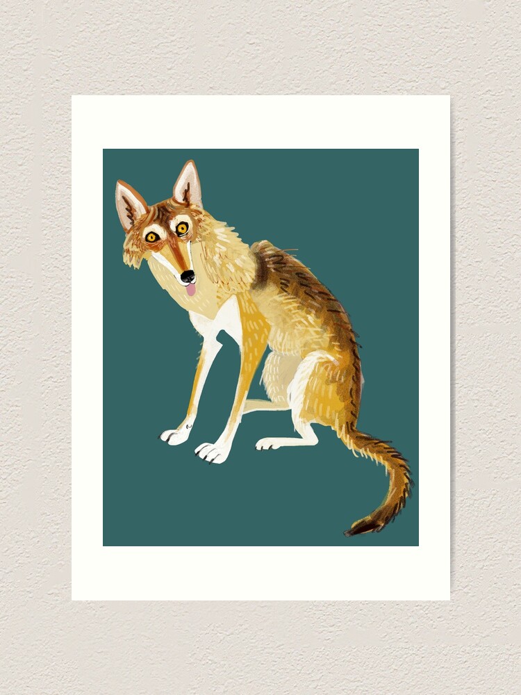 "Arabian Wolf #1" Art Print for Sale by belettelepink | Redbubble