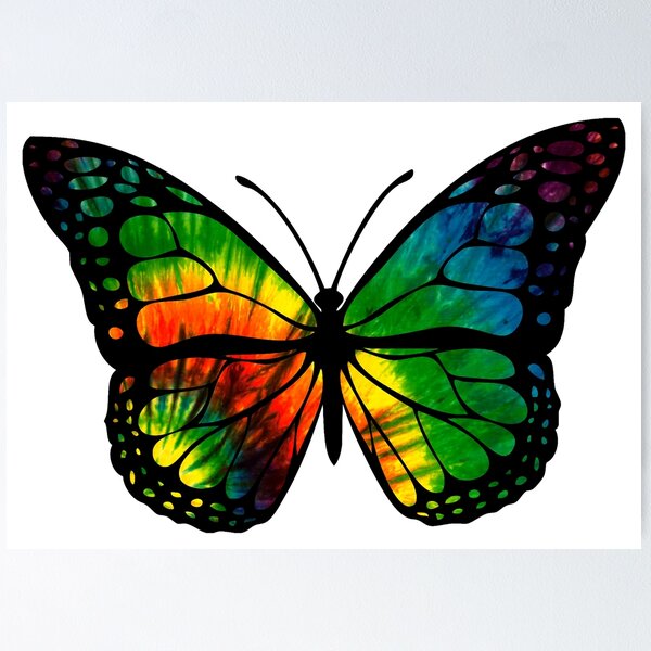"Tie Dye Butterfly" Poster for Sale by fearcity | Redbubble