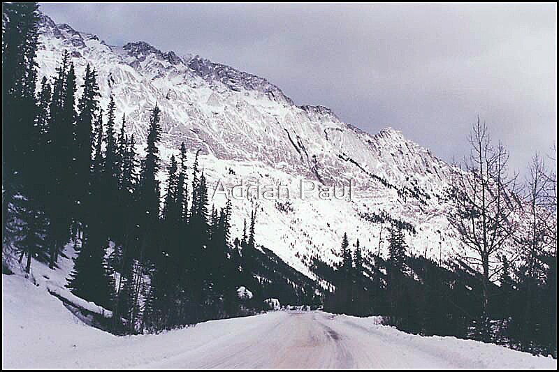 "Queen Elizabeth Ranges, Jasper National Park, Alberta, Canada" by ...