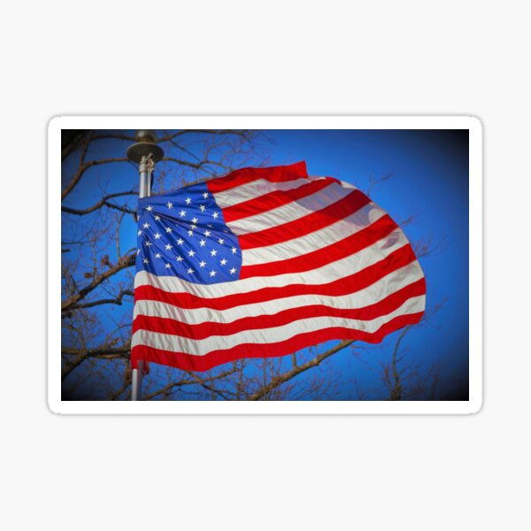 "American Flag" Sticker for Sale by floofpictures | Redbubble
