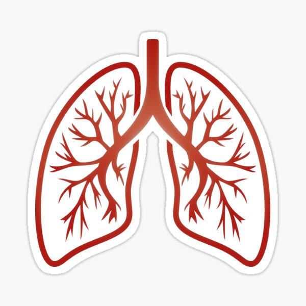 "lung" Sticker for Sale by sabrinasv09 | Redbubble