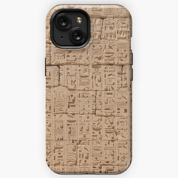 "Hieroglyphs at Medinet Habu" iPhone Case for Sale by The-EES | Redbubble