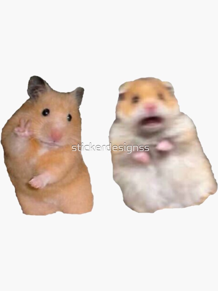 "Hamster sticker pack" Sticker for Sale by stickerdesignss | Redbubble