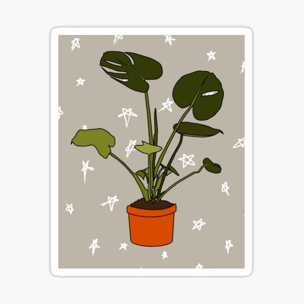 "Monstera Deliciosa Plant Sticker" Sticker for Sale by tina-christina ...