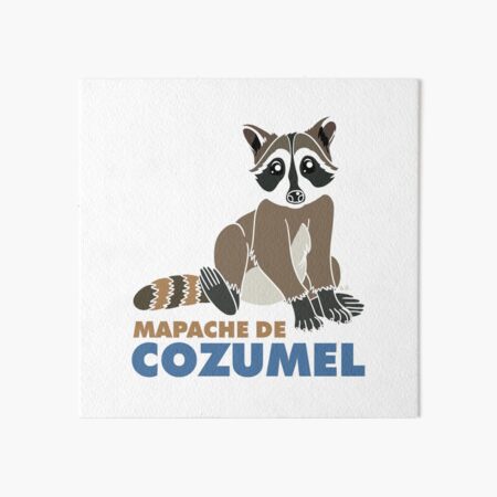 "MAPACHE DE COZUMEL - ENDÉMICOS DE MÉXICO SERIES" Art Board Print for ...
