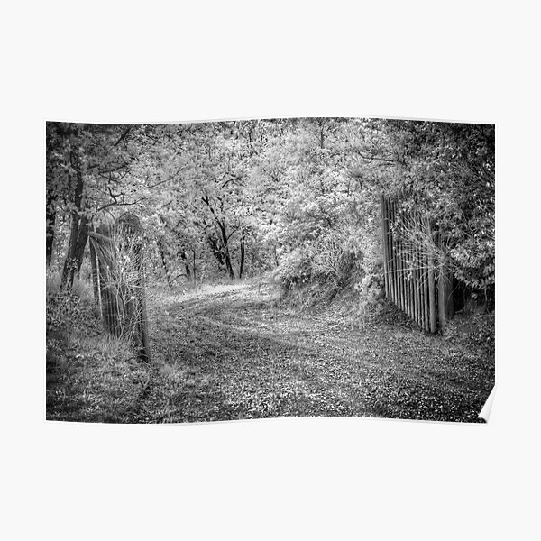 "The Gate" Poster for Sale by ozamora | Redbubble