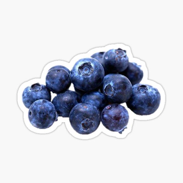 "blueberry" Sticker for Sale by acelwt | Redbubble