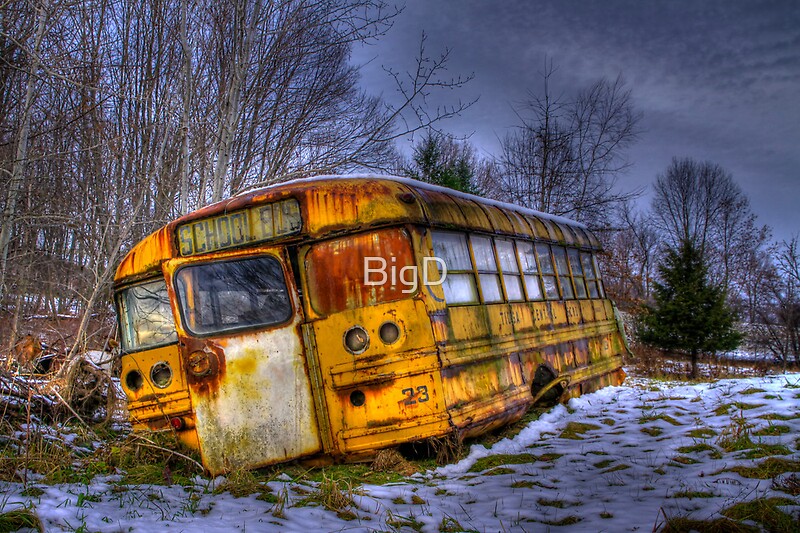 "School Bus 23" by BigD | Redbubble