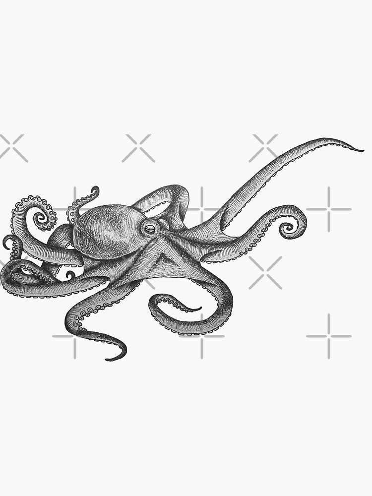 "Octopus Reaching " Sticker for Sale by kylepeacockart | Redbubble