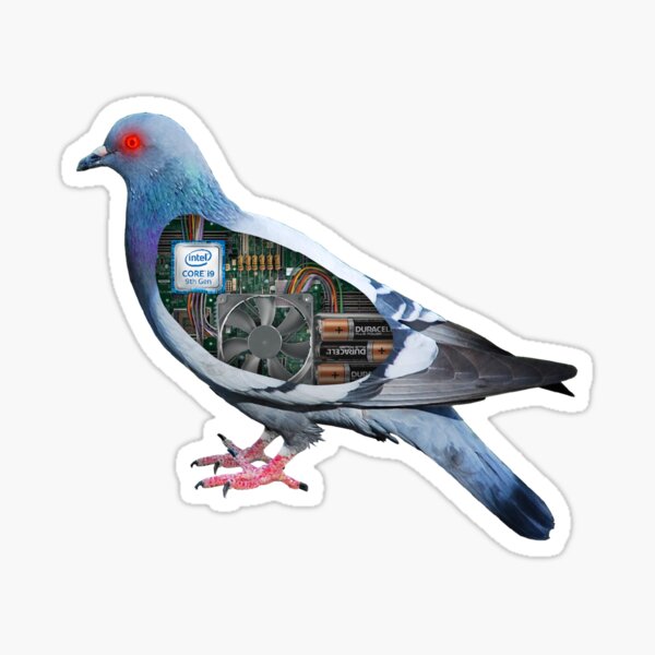 "Government Conspiracy Pigeon " Sticker for Sale by zeyd99 | Redbubble