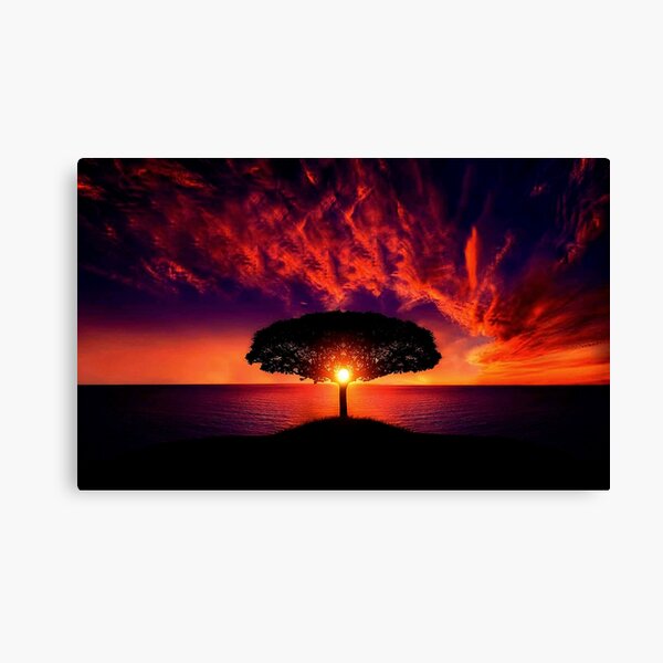 "Black tree red sky amazing sunset" Canvas Print for Sale by ...