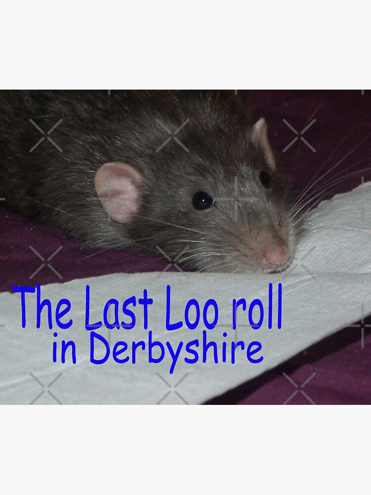 "Coronavirus rat meme" Sticker for Sale by mindgoop | Redbubble