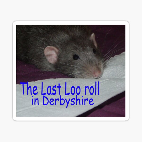 "Coronavirus rat meme" Sticker for Sale by mindgoop | Redbubble