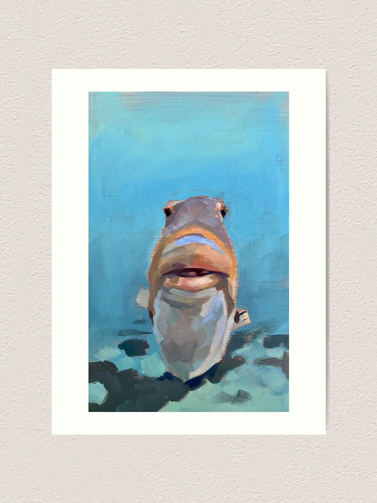 "Staring Fish" Art Print for Sale by Pwalk3430 | Redbubble