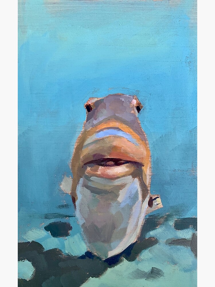 "Staring Fish" Art Print for Sale by Pwalk3430 | Redbubble
