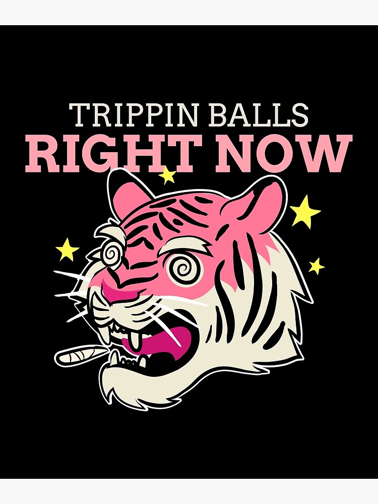 Tiger Smoking Weed Profile For Cartoons And Weed