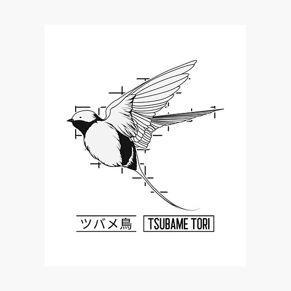 Tsubame Photographic Prints | Redbubble