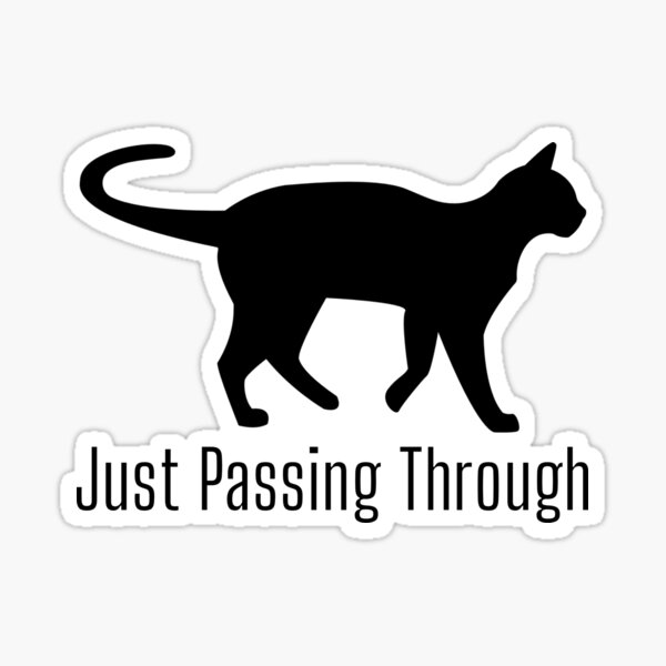 Just Passing Through Stickers | Redbubble