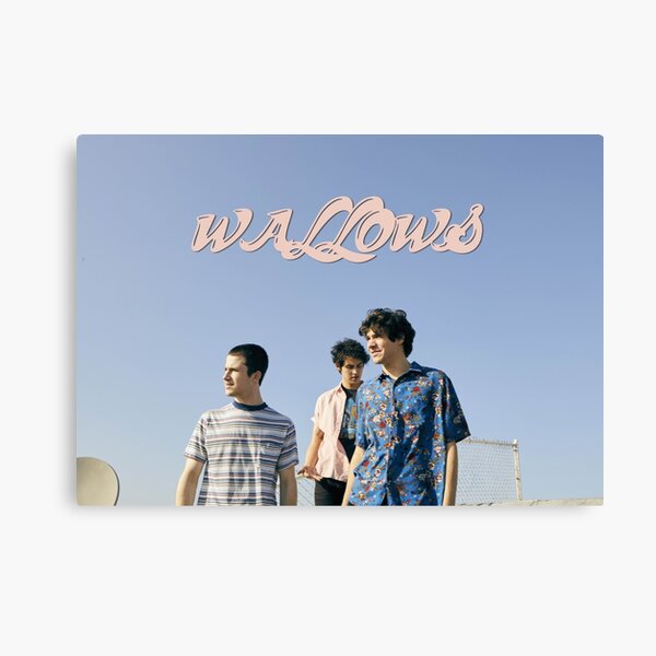 The Band Wallows Canvas Prints | Redbubble