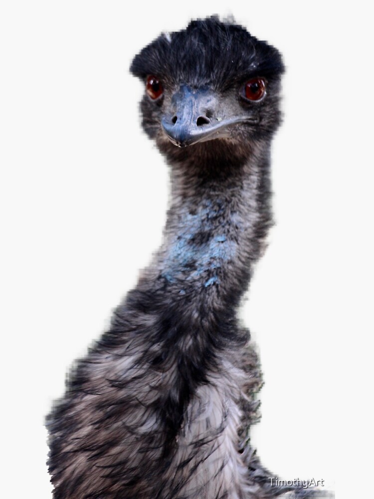 "Angry Emu " Sticker for Sale by TimothyArt | Redbubble