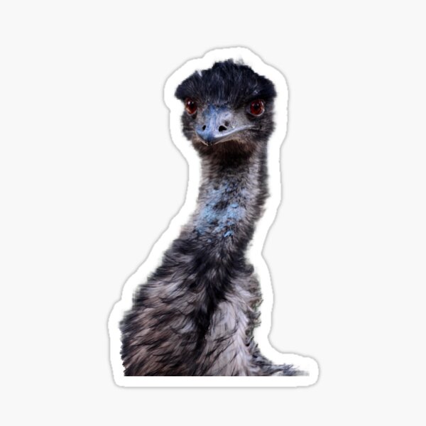 "Angry Emu " Sticker for Sale by TimothyArt | Redbubble