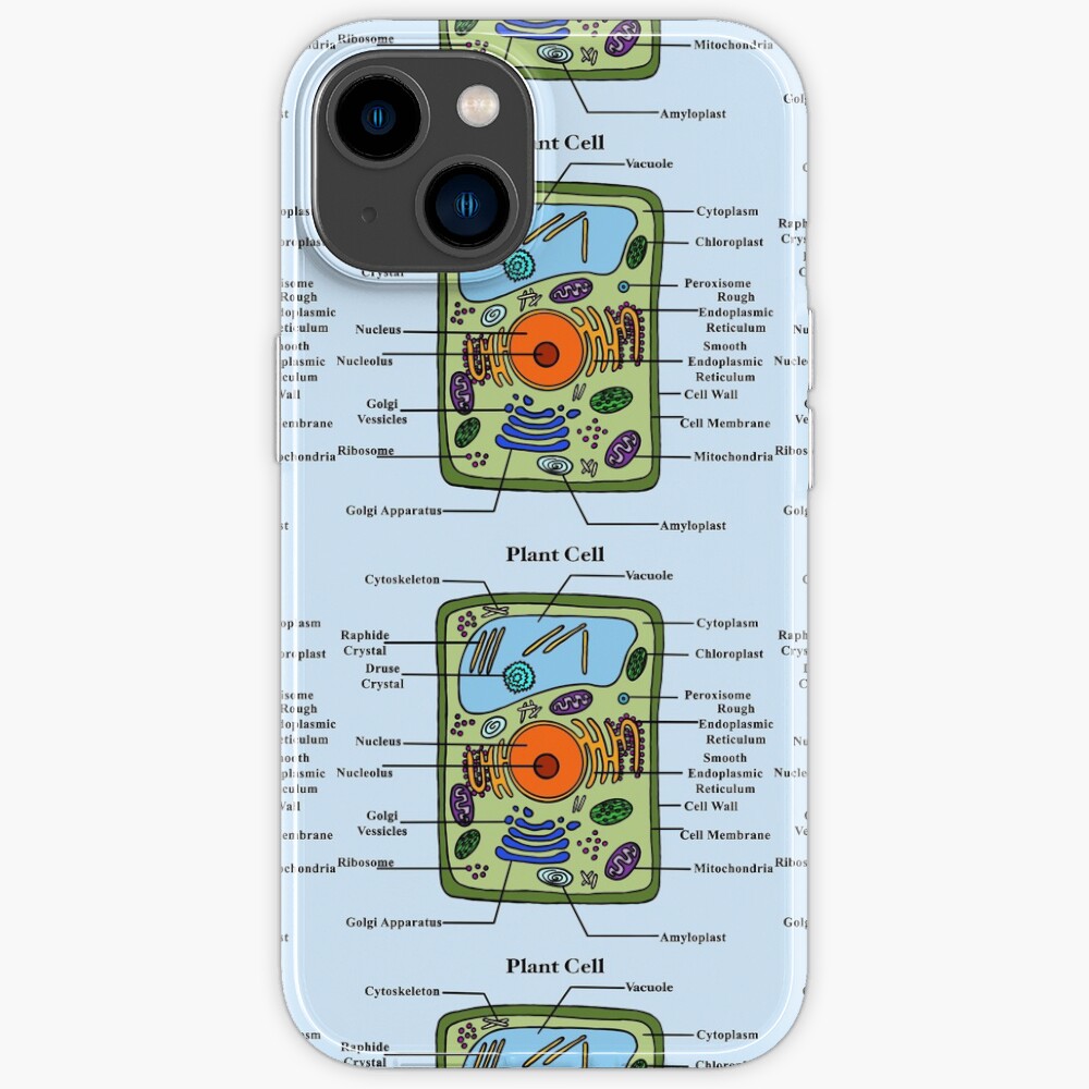 "Labeled Plant Cell Diagram" iPhone Case for Sale by BundaBear | Redbubble