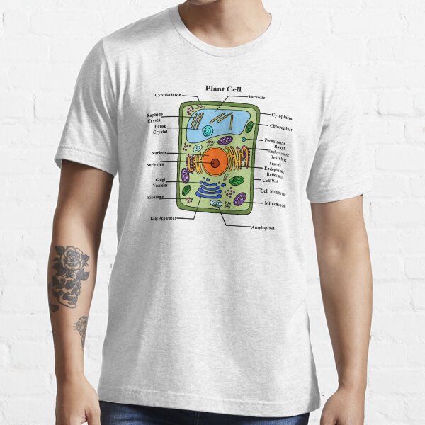 "Labeled Plant Cell Diagram" T-shirt for Sale by BundaBear | Redbubble ...