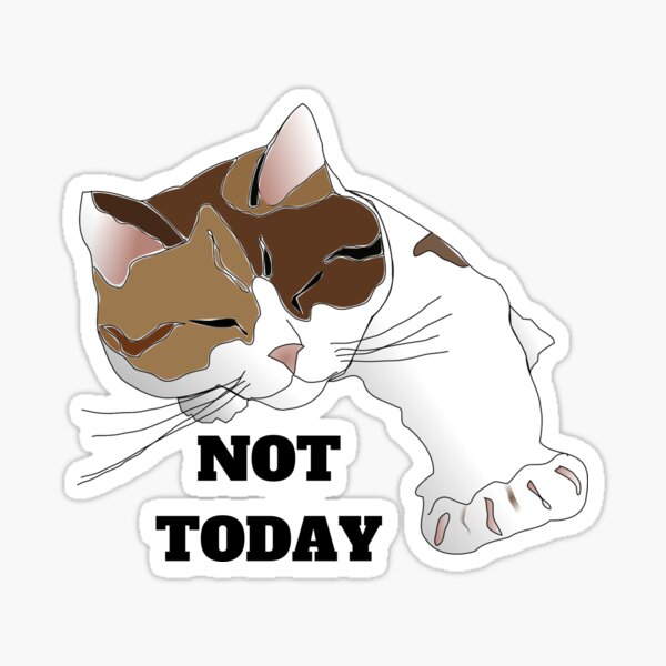 "Not Today Cat / Cute / Funny / Face Mask" Sticker by michisway | Redbubble