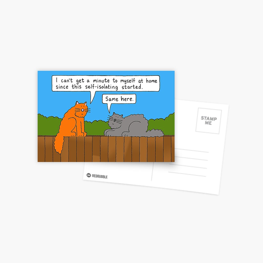 "Coronavirus Self-isolation Cartoon Cats Talking on a Fence" Postcard ...