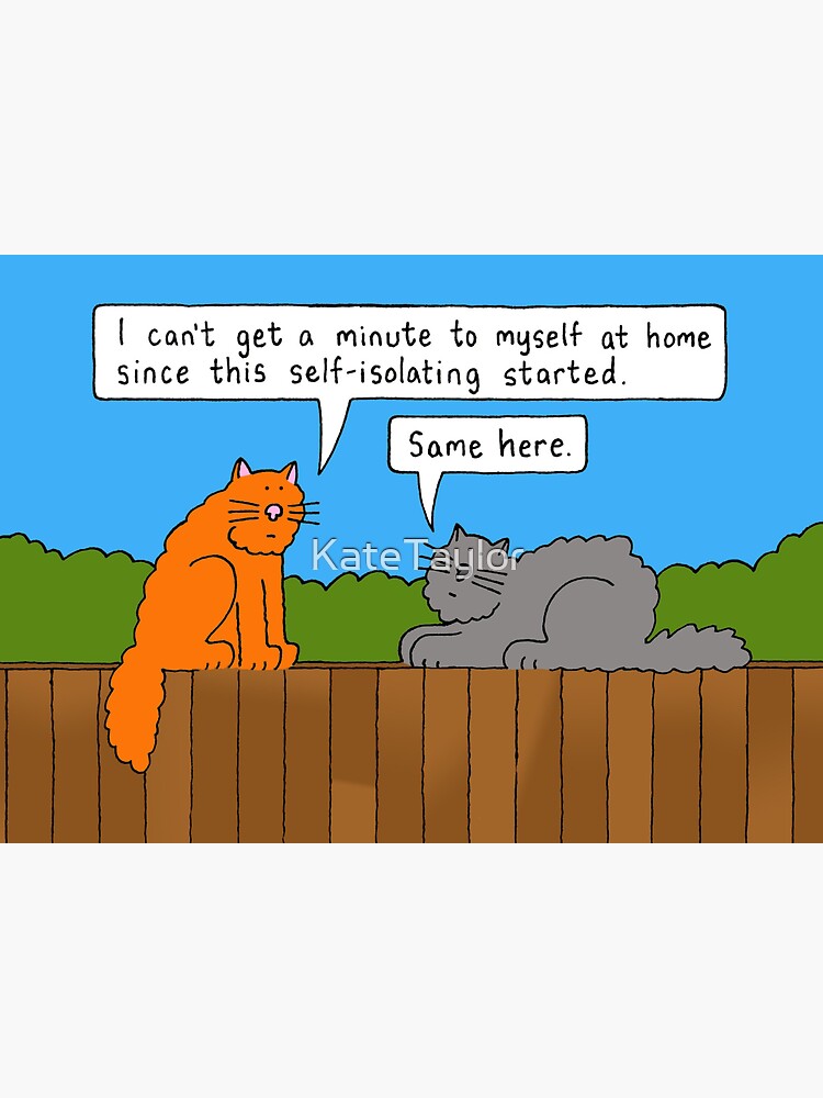 "Coronavirus Self-isolation Cartoon Cats Talking on a Fence" Sticker ...