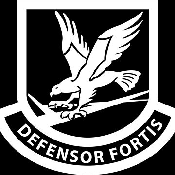 "security forces defensor fortis design" Pin for Sale by D3everything ...