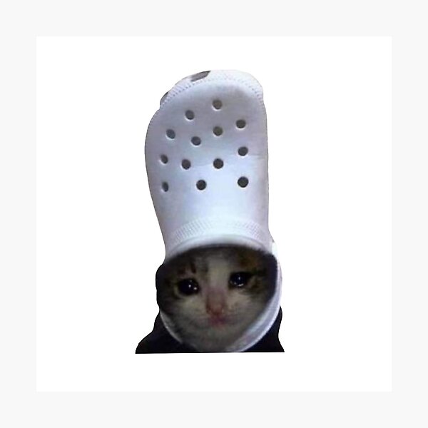 "Crying cat meme in crocs " Photographic Print by angelslover | Redbubble