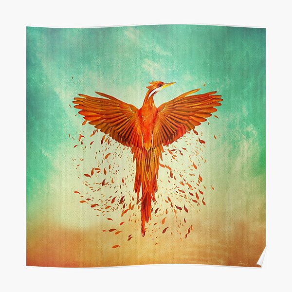 Phoenix Bird Posters | Redbubble