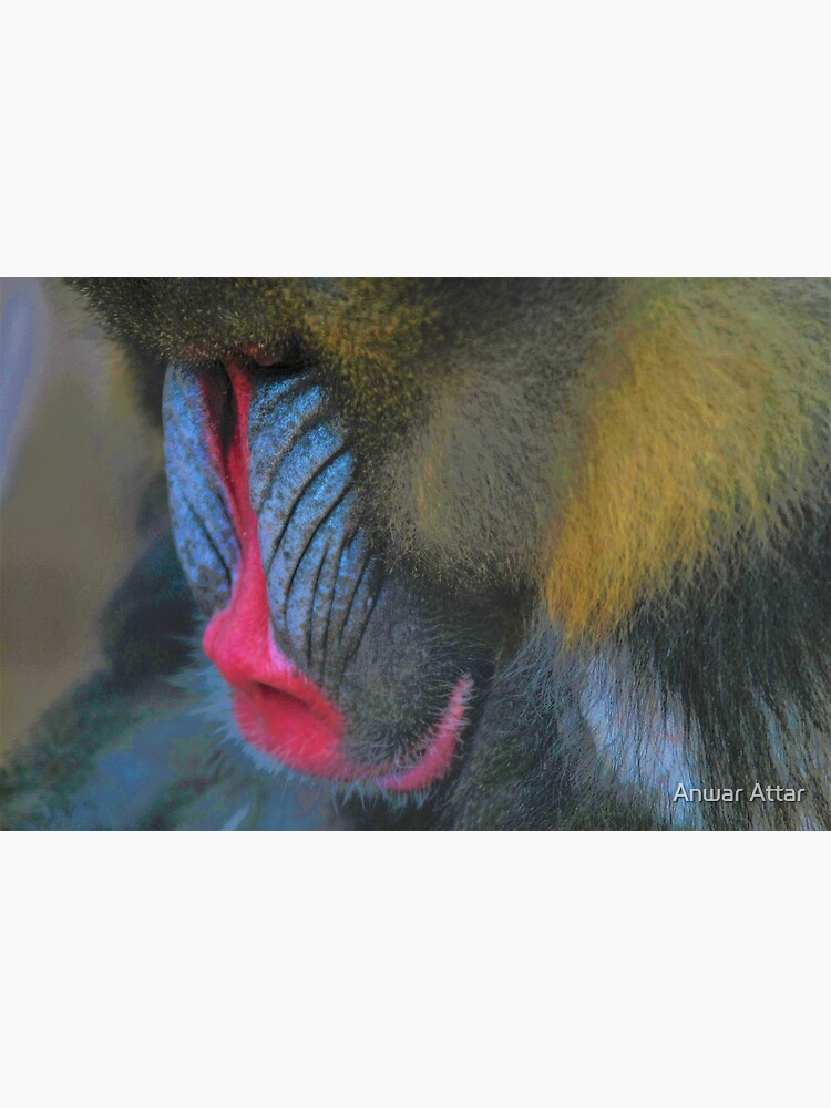 "Baboon" Poster for Sale by Anwar1982 | Redbubble